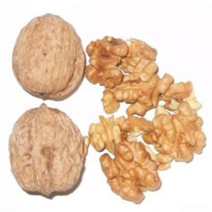 Καρυδιές Φερνόρ (Fernor) - ΜΑΥΡΙΔΗΣ Δ. Μ.Ε.Π.Ε. - Καρυδιές